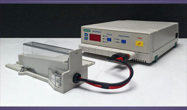 SOLD - Bio-Rad (Biorad) MicroPulser Electroporation System, model: 165-2100, available from ...